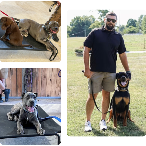 About - Mid-State K9